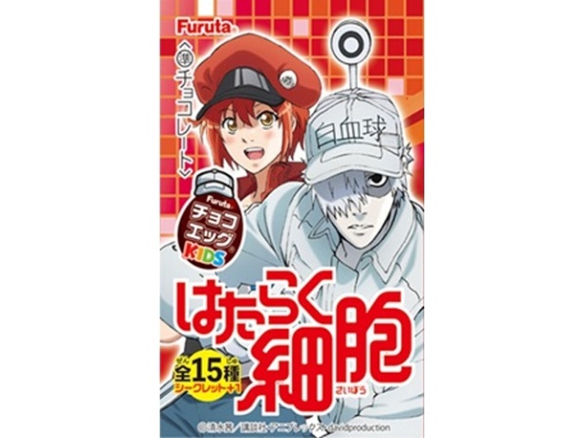 フルタ チョコエッグキッズ（はたらく細胞）２０ｇ  ×80 【全国送料無料】(沖縄・離島は別途)