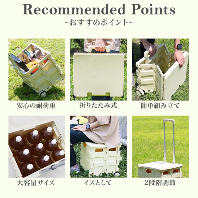 キャリーカート 折りたたみ 台車 軽量 フタ付 耐荷重35kg コンパクト キャリーカート 防災グッズ 2輪 キャスター付 コンテナ カート キャリー 折り畳み台車 買い物カゴ 運搬 ふた付 ...