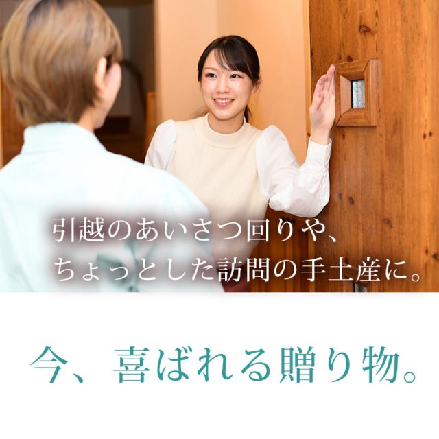 御挨拶用 マスク ギフト のし 熨斗 付き 10枚 入り 箱 3層 立体型マスク 不織布マスク 使い切り 男女兼用 大人用 レギュラー サイズ ...