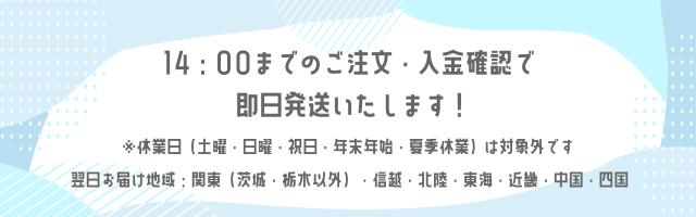 FILA フィラ 4点セット 水着 フィットネス レディース 半袖 フィットネス水着 マルチウェア 体型カバー 《レビュー記入で送料無料》UVカット LL 2L L M ぽっちゃり 20代 30代 40代 50代 60代 ママ ミセス シンプル 324601