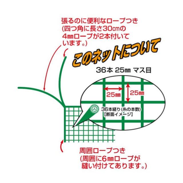 ライト ゴルフ イット！ M-148 正面2重用規格ネット3×6m 3.0×6.0m ゴルフ パッティング練習 練習器具 野球 LITE Golf it！ 20p