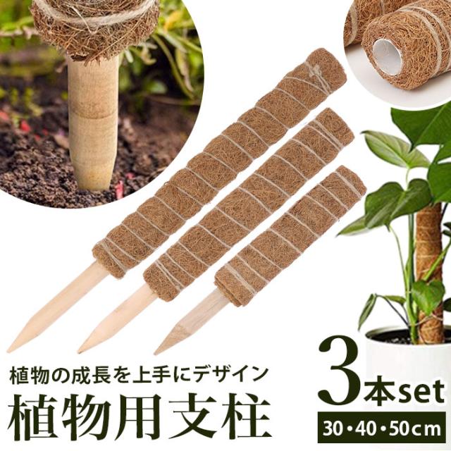 支柱 園芸 通販 3本入り コナッツパームスティック 鉢植え 植物支柱 観葉植物支柱 ガーデニング支柱 ココナッツ支柱 3本セット 観葉植物 ...