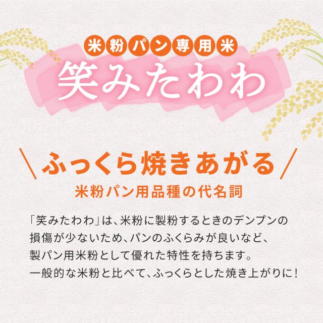 米粉 業務用 パン用 お米の粉 パン用薄力粉 笑みたわわ 20kg 送料無料