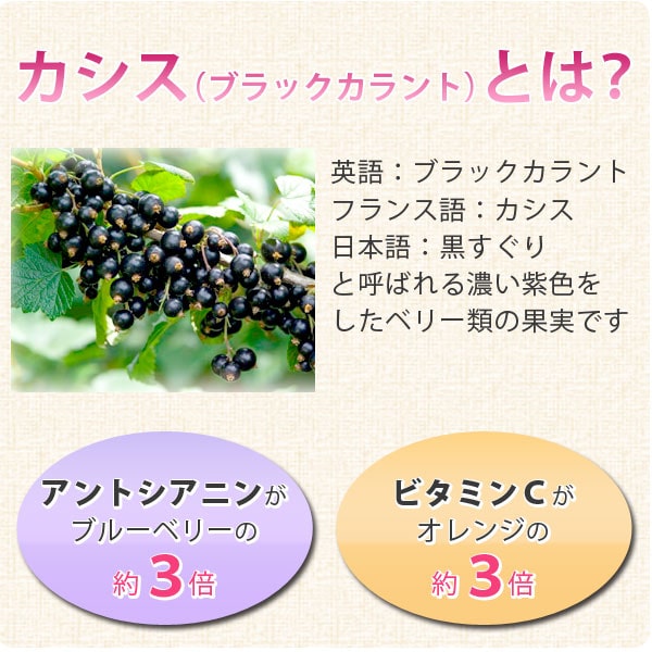 【9月新商品】乳酸菌発酵カシス＜5倍希釈＞（565ml）ビン【2本セット】【ジャフマック】【送料無料】の通販はau PAY マーケット ...