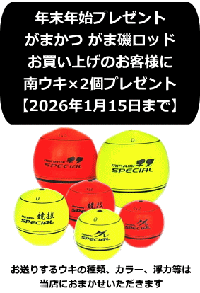 磯竿 がまかつ がま磯 デニオス 2号 5.3m / gamakatsu 【南ウキ×2個プレゼント】