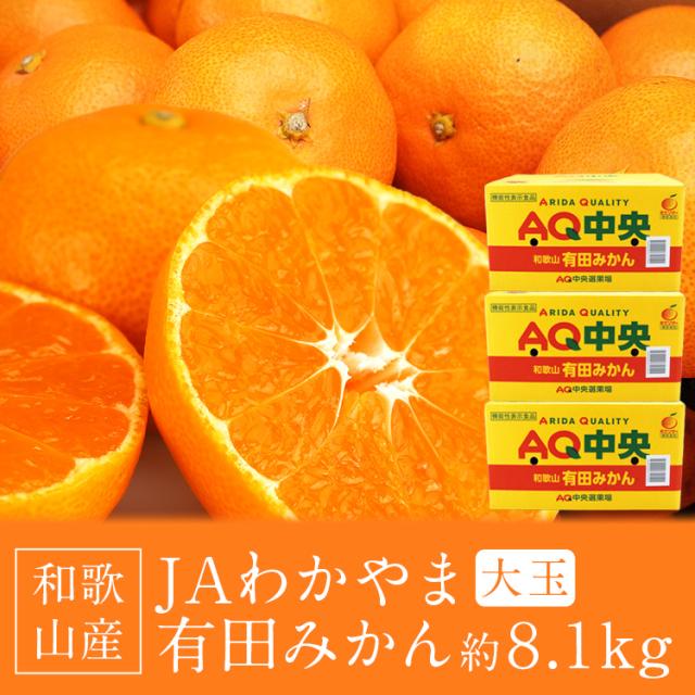 有田みかん 8.1kg (2.7kg×3箱) 大玉 2Lサイズ 和歌山県産 みかん ミカン 蜜柑 常温便 同梱不可 指定日不可の通販はau PAY マーケット - 食の達人お取り寄せグルメ ...