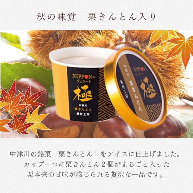 NIPPONのジェラート極 16個セット 8種×2 母の日 スイーツ アイス