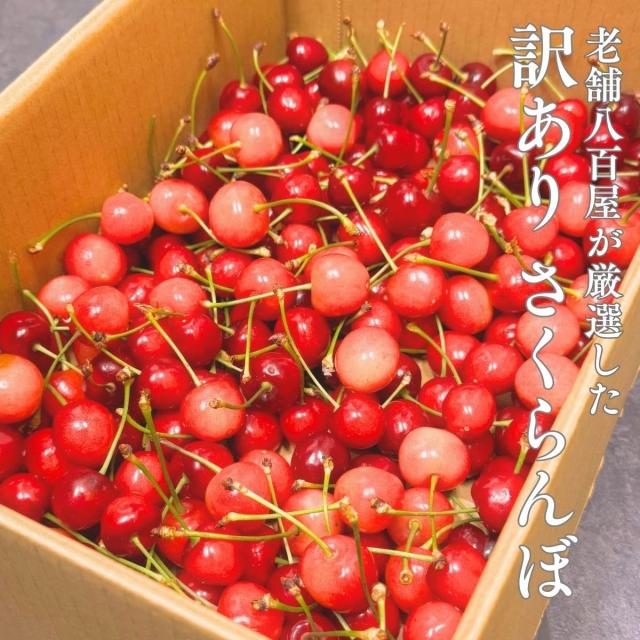 予約開始 クール便 さくらんぼ 訳あり 山形県 700g 品種お任せ M〜2Lサイズ混合 バラ詰め サクランボ ご家庭用 (6月下旬頃から発送予定)の通販はau PAY マーケット - みさわ ...